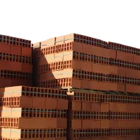 Abel Clay Blocks 4X8X16