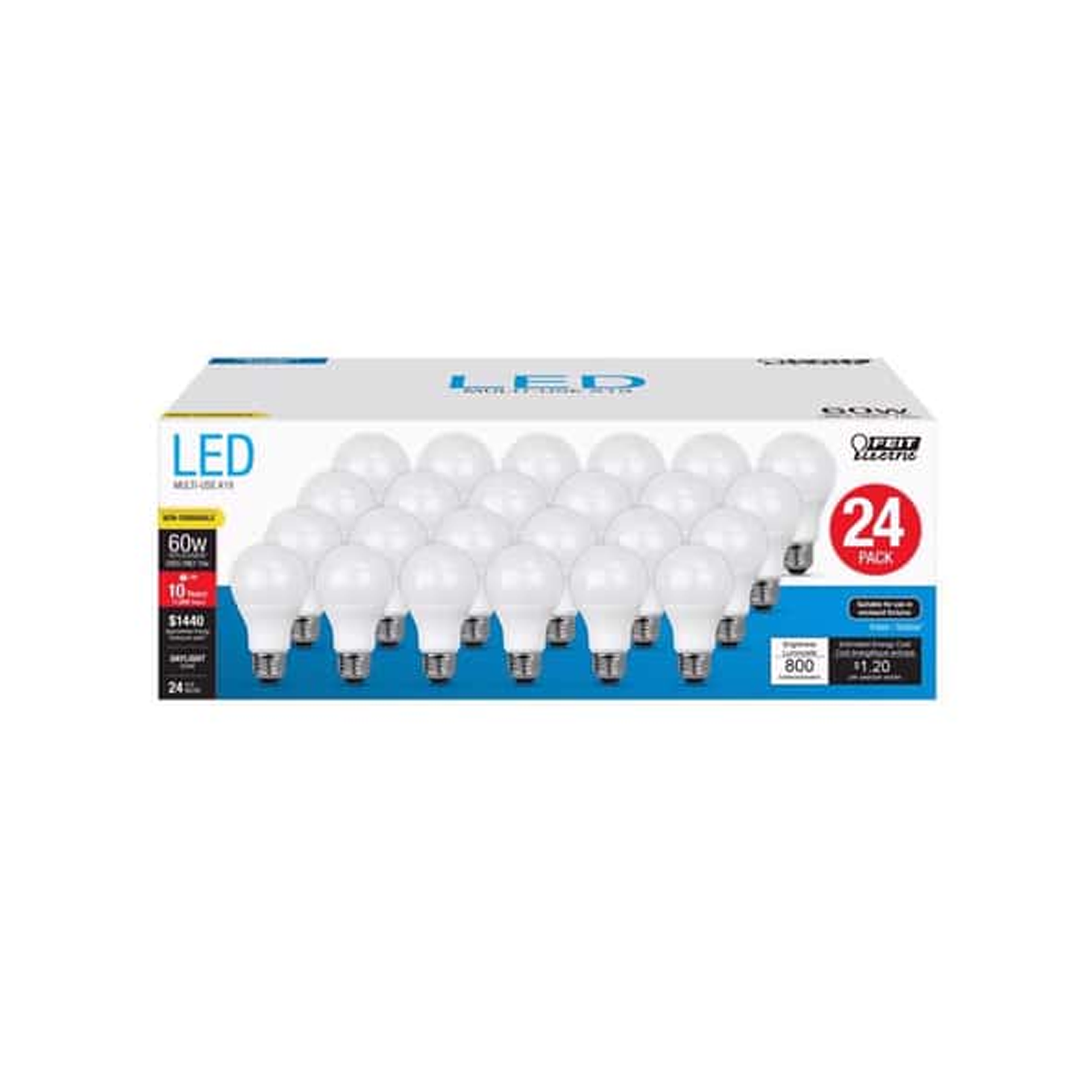 FEIT LED Bulb